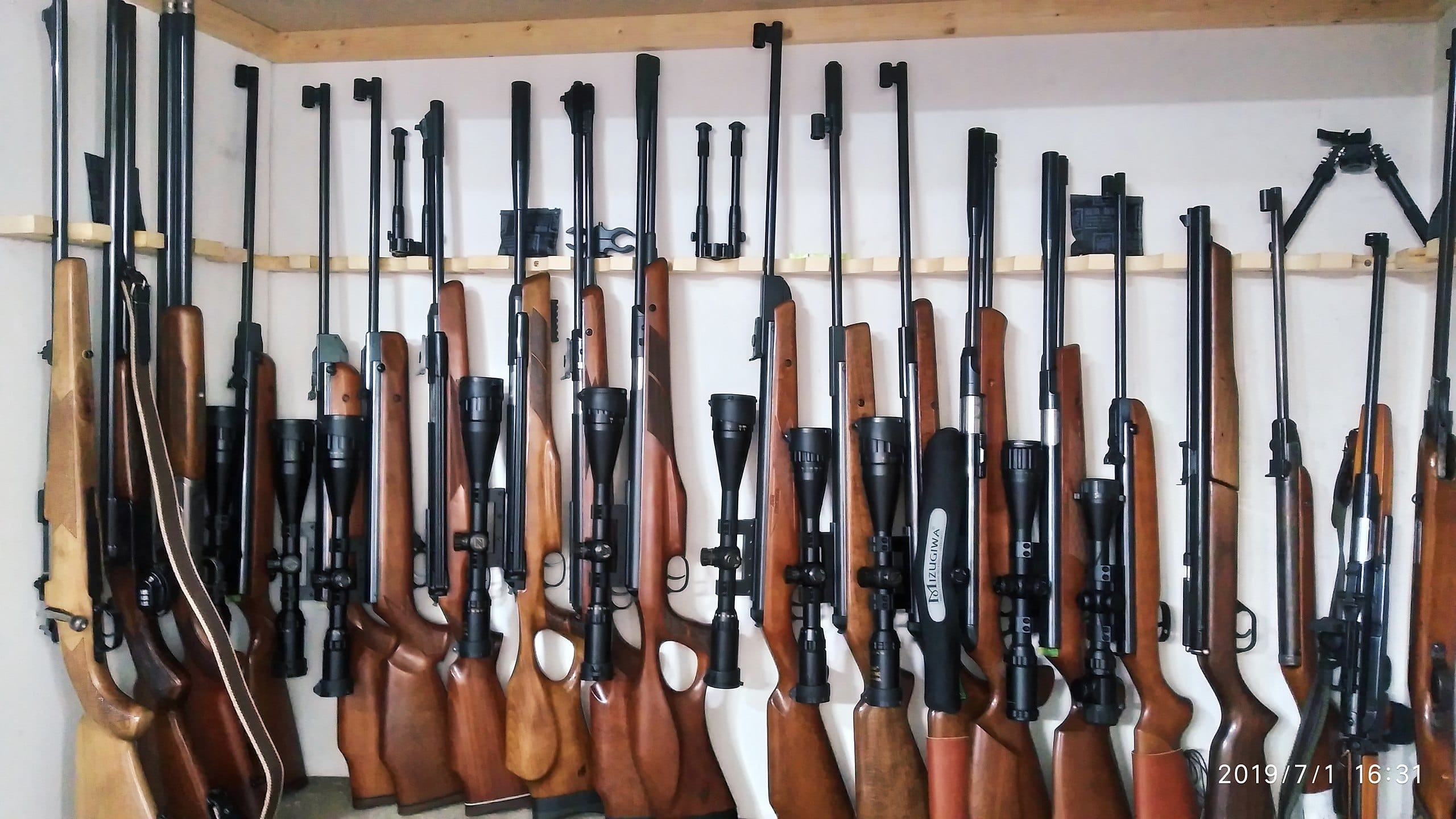Rifle vs. Shotgun: Choosing the Right Long Gun - Berkeley Springs ...